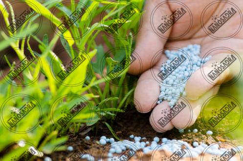 application of nanoparticles in agriculture | Price list of ...